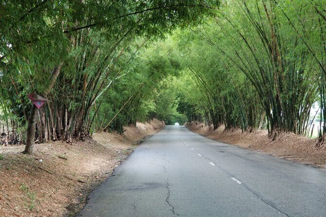 13. Appleton Rum Estate & Black River Safari Private Guided Combo all day tour - FAQ