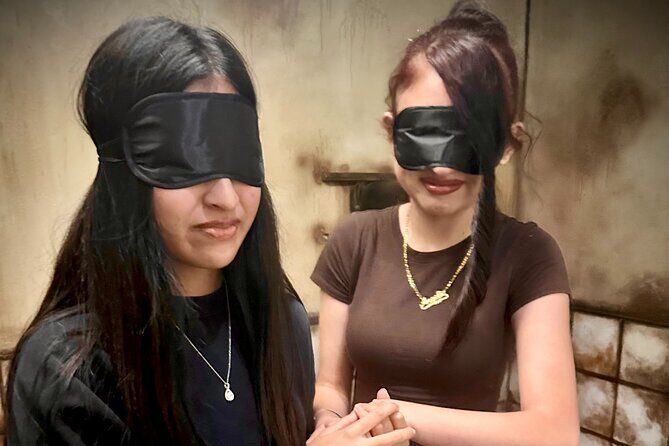13th Basement Comedic Horror Escape Room in Anaheim - Who is This Tour Best For?