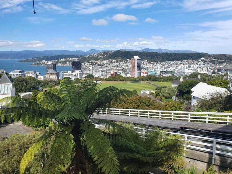 14 Day Northern Kiwi Small Group Tour - Starting in Auckland: The City of Sails
