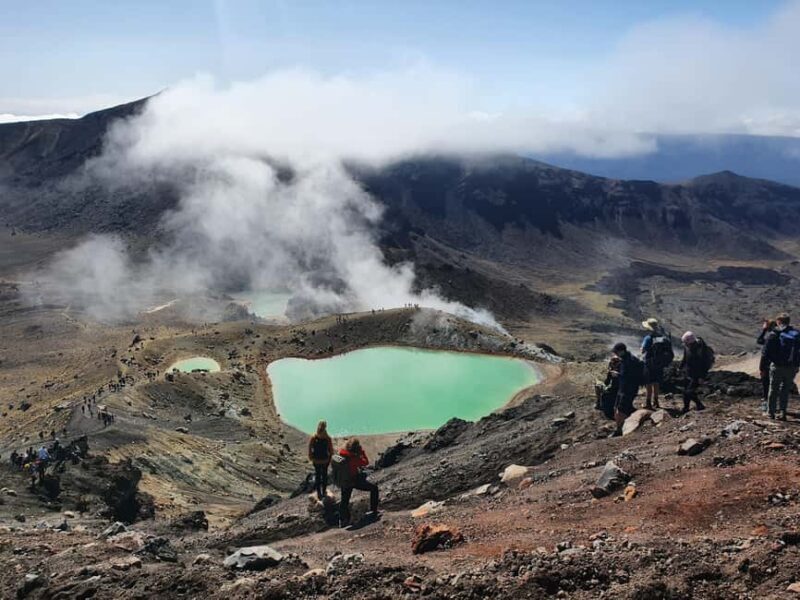 14 Day Northern Kiwi Small Group Tour - From Coastal Raglan to the Mysteries of Waitomo