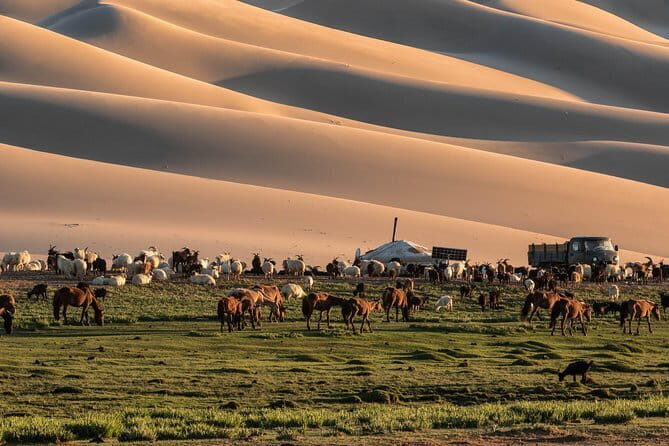 14-Day Private Tour from Gobi Desert to Steppe with Meals - Key Points