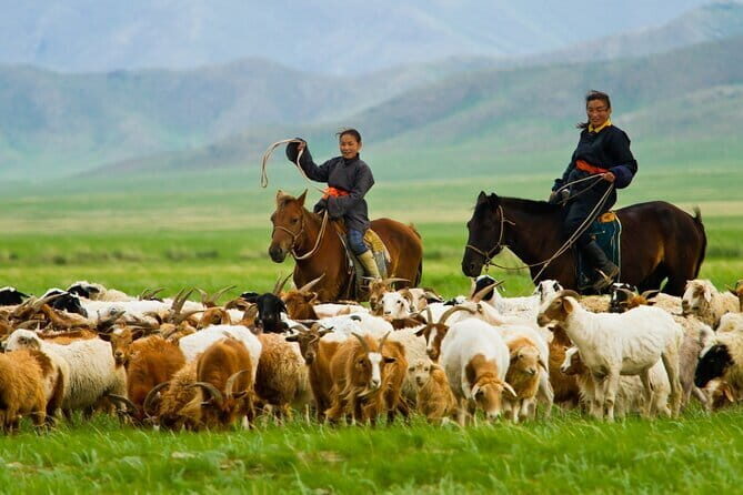 14-Day Private Tour from Gobi Desert to Steppe with Meals - Authentic Experiences and Unique Sights