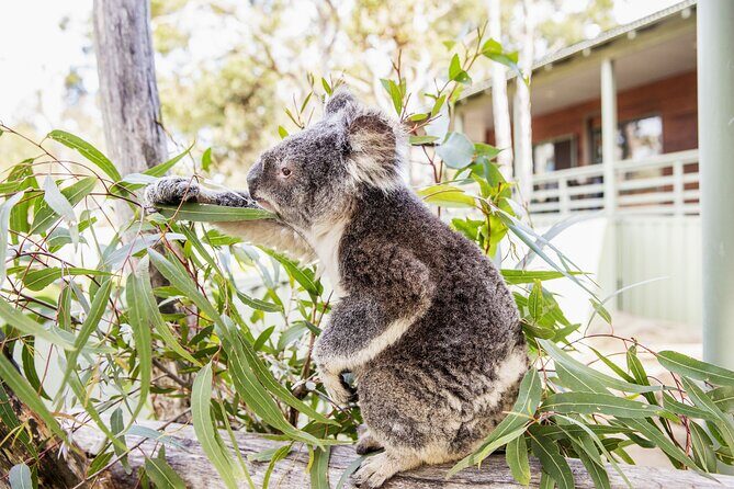 14 Day Tour from Sydney to Cairns Fraser Island and Whitsundays - An Honest Breakdown of the Itinerary