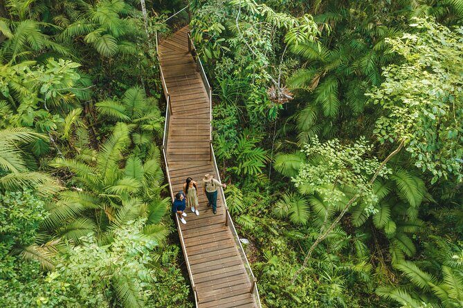 14 Day Tour from Sydney to Cairns Fraser Island and Whitsundays - Practical Tips for Travelers