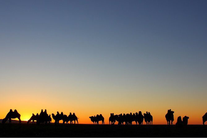 14 Days Eastern Mongolia  Birthplace of Great King Tour - An In-Depth Look at the Itinerary