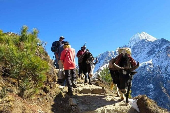 14 Days Everest Base Camp Trekking - Day 5: Namche to Tengboche