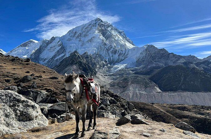 14 Days Everest Basecamp Trekking from Kathmandu - Reaching Everest Base Camp and Kala Patthar