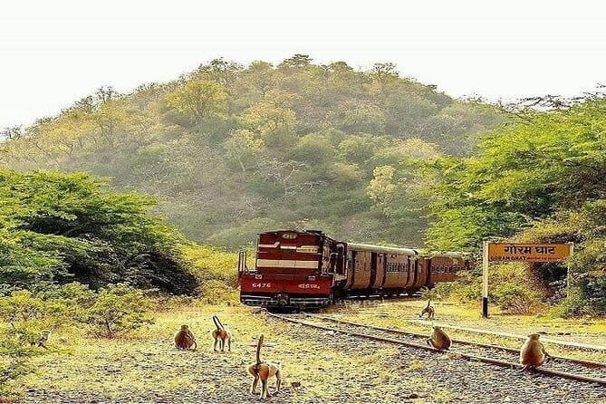 14 Days Heritage Rajasthan Tour - FAQs