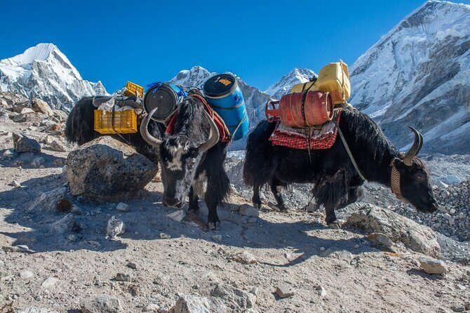 14 Days Private Tour Everest Base Camp Trek - Guides & Support