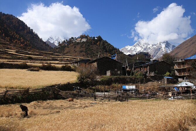 14 Days Private Tour in Manaslu Circuit Trek - Descending into Bimthang and Beyond
