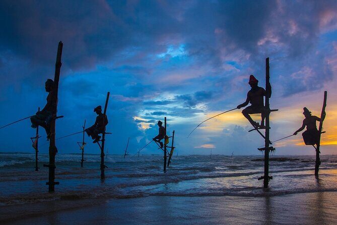 14-Days Private Tour in Sri Lanka with Pick Up - Introduction to the Tour Experience