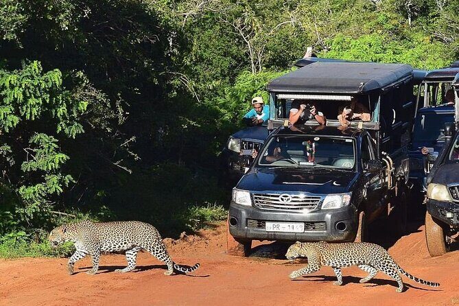 14-Days Private Tour in Sri Lanka with Pick Up - Frequently Asked Questions