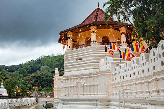 14 Days Round Tour in Sri Lanka - What Makes This Tour Stand Out