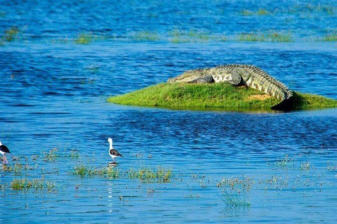 14 Days Sri Lanka Tour - Explore Sri Lanka - Cost and Value