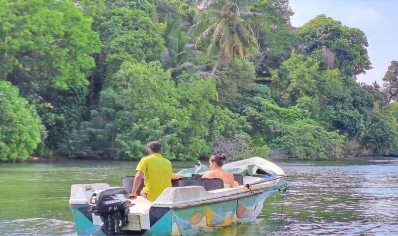 14 Days Tour Package Sri Lanka - Who Is This Tour Perfect For?
