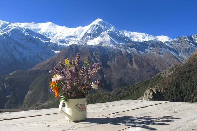 15-Day Private Annapurna Circuit Trek from Kathmandu - Real-World Insights & Authentic Experiences