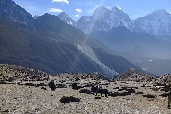 15-Day Private Everest Base Camp Trek from Nepal - The Full Journey of the Everest Base Camp Trek