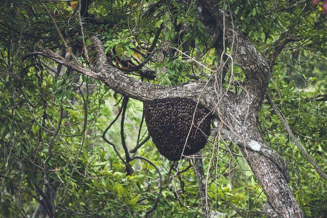 15-Day Tour in Sri Lanka with Private Driver - Who Is This Tour Best For?