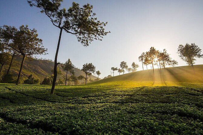 15 Days Private Tour in North India Mumbai and Kerala - Key Points