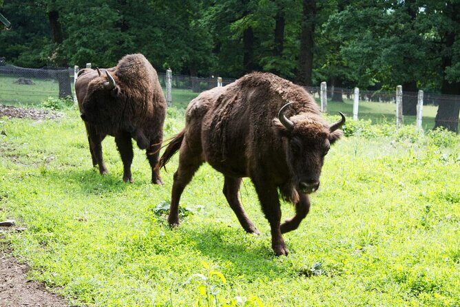 15 Days Private Tour in Romania, Moldova and Transnistria - Who Should Consider This Tour?