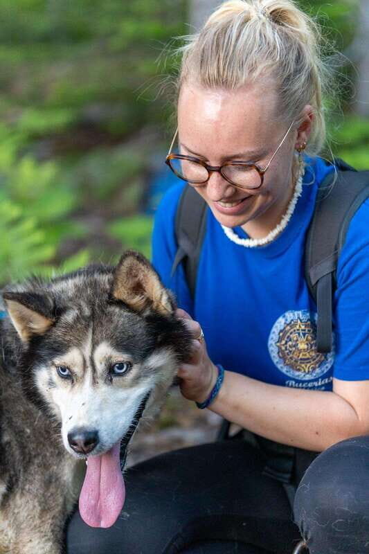 15 min. Tadoussac : Behind-the-Scenes Sled Dog Kennel Tour - The Sum Up: Is This Experience Worth It?