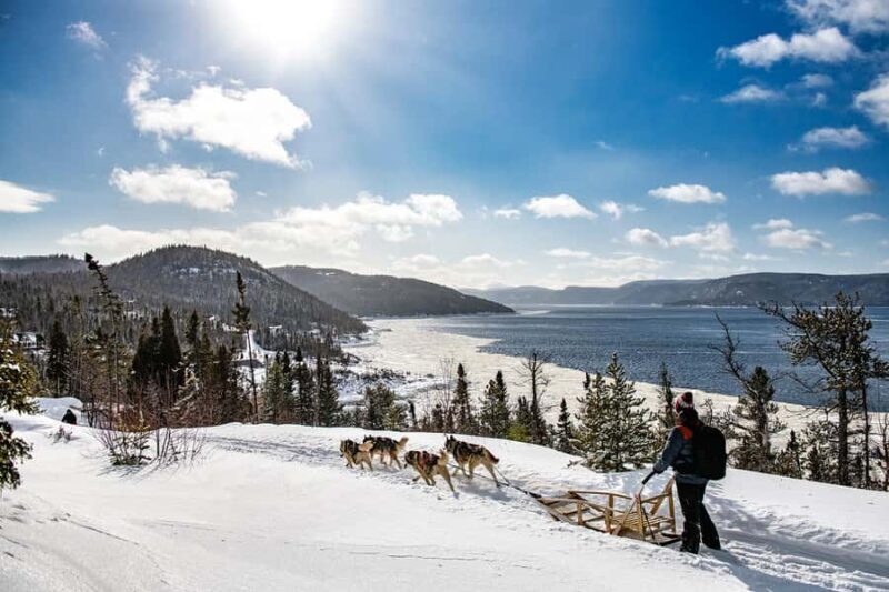 15 min. Tadoussac : Dog Sled Excursion in Saguenay Fjord - What to Expect from the Dog Sled Tour