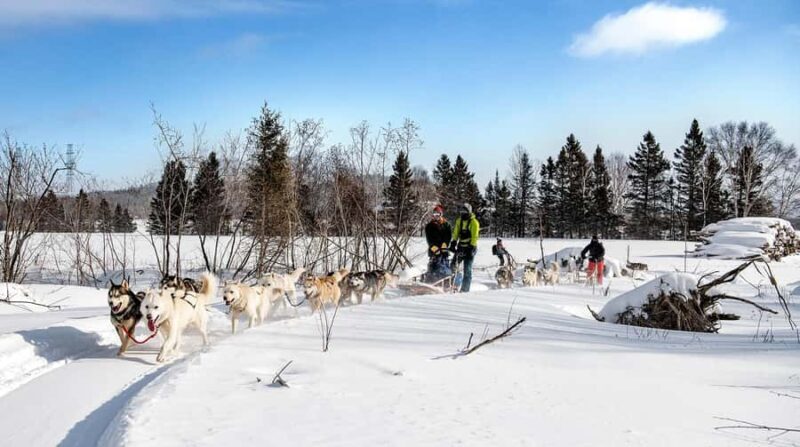 15 min. Tadoussac : Dog Sled Excursion in Saguenay Fjord - Value and Practical Insights