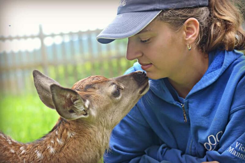 15 min. Tadoussac: Free visit to the animal shelter and farm - Exploring the 15-Minute Tadoussac: Free Visit to the Animal Shelter and Farm