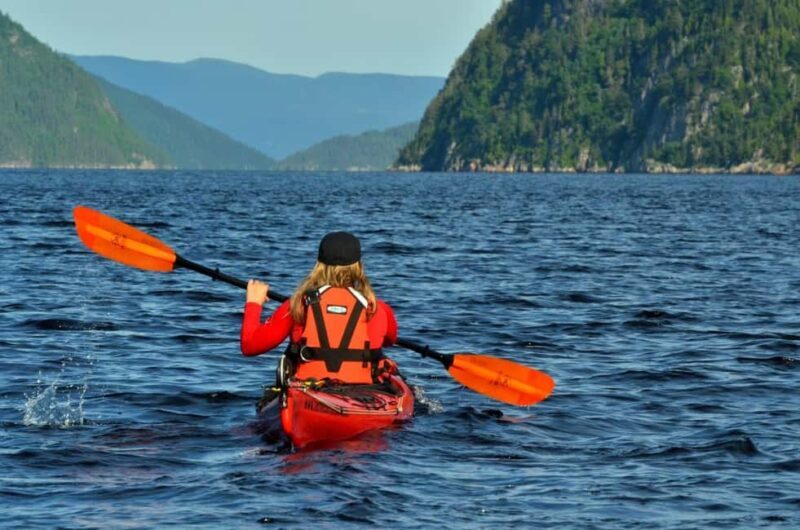 15 min Tadoussac: Guided Sea Kayaking Adventure - Authentic Feedback from Travelers
