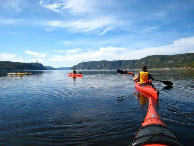 15 min Tadoussac: Guided Sea Kayaking Adventure - Final Thoughts: Is It Worth It?