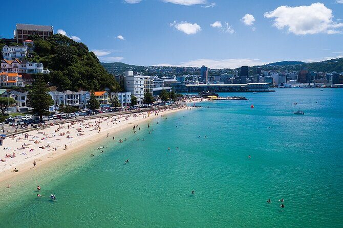 15-Minute Wellington Harbour Helicopter Flight - An In-Depth Look at the Wellington Harbour Helicopter Flight