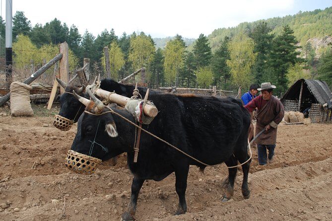 16 Days Amazing Bhutan From East to West - The Sum Up