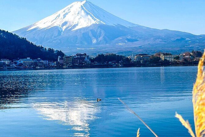 16 Days Japan and China Discovery Private Guide - Final Thoughts