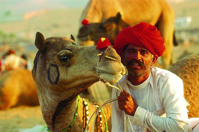 16-Days Rajasthan Tour with Agra from Delhi by,Includes,Guide,Hotels,A-C Vehicle - In-Depth Look at the Tour Experience