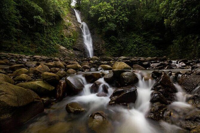 16 Lines Zipline, Cave, Hiking & Biausevu Waterfall Combo Tour - An In-Depth Look at the Tour Experience