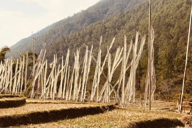 17-Day Private Nature Trip and Birding in Bhutan - Final Thoughts: Who is This Tour Best For?