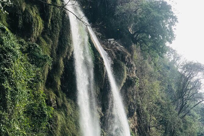 17-Day Private Nature Trip and Birding in Bhutan - FAQs About the 17-Day Bhutan Nature and Birding Tour