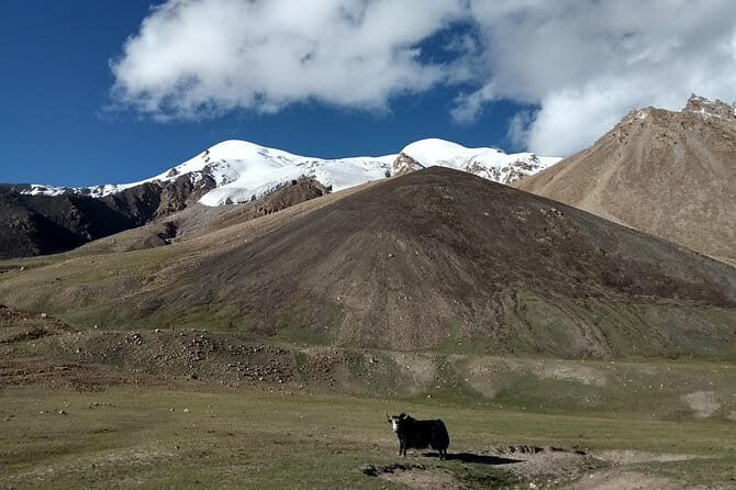 17 Days Trekking Shimshal Pass Manglik Sar (6050m Peak Pakistan - Key Points