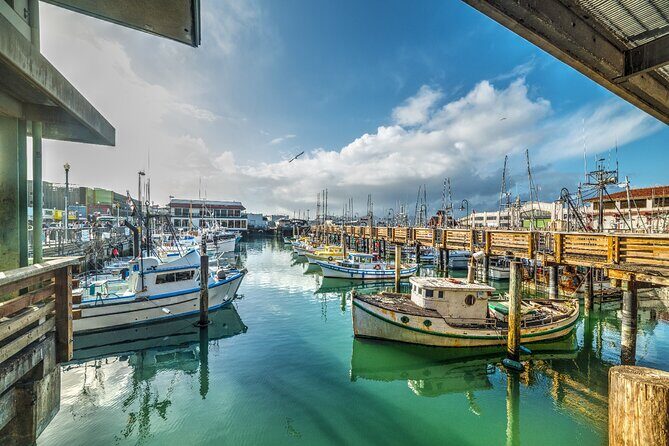 17-Mile Drive Self-Guided Audio Tour from Monterey & Carmel - The Sum Up