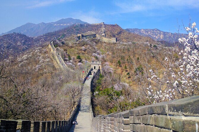 18-Day Classic China Tour: Xi'an-Chengdu-Zhangjiajie-Shanghai - The Sum Up