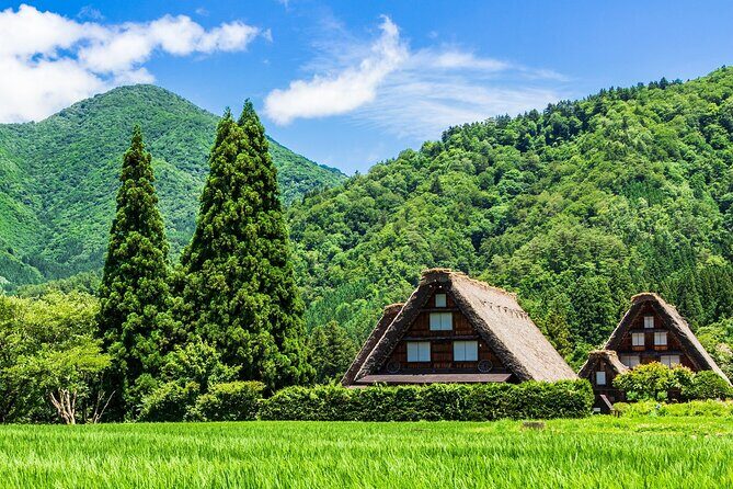 1Day Private Shirakawago and Takayama with Public bus from Nagoya - An Honest Look at the 1-Day Private Shirakawago and Takayama Tour from Nagoya
