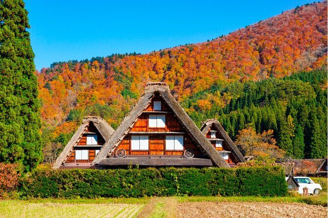 1Day Private Shirakawago and Takayama with Public bus from Nagoya - The Sum Up