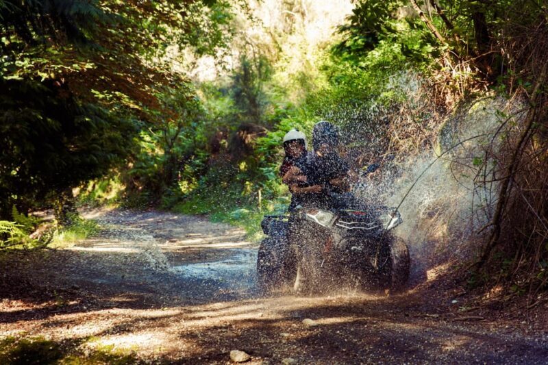 1h Quad Tour  Arcos de Valdevez  Peneda Gerês - The Sum Up: Who Should Consider This Tour