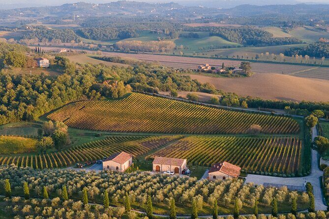 1h30m Wine Tasting and Visit to Val D'Orcia - Key Points