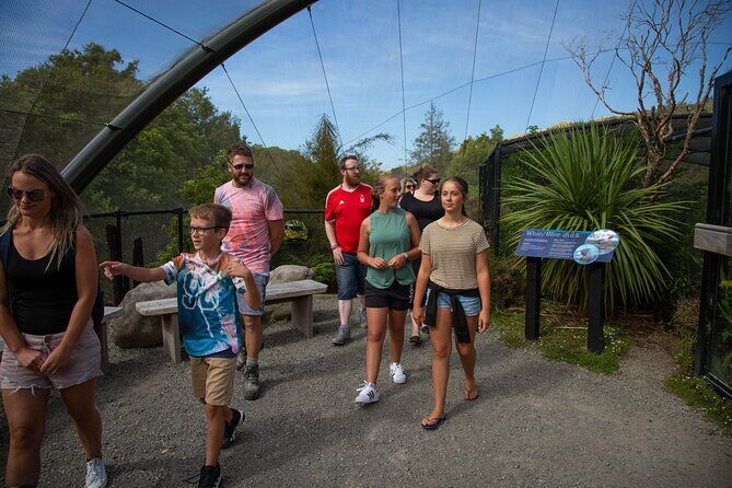 1Hour Guided Tour of Pkaha National Wildlife Centre - Authentic Perspectives from Past Visitors