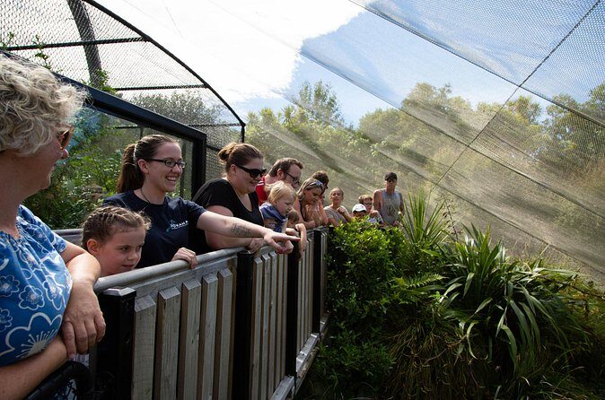 1Hour Guided Tour of Pkaha National Wildlife Centre - FAQs