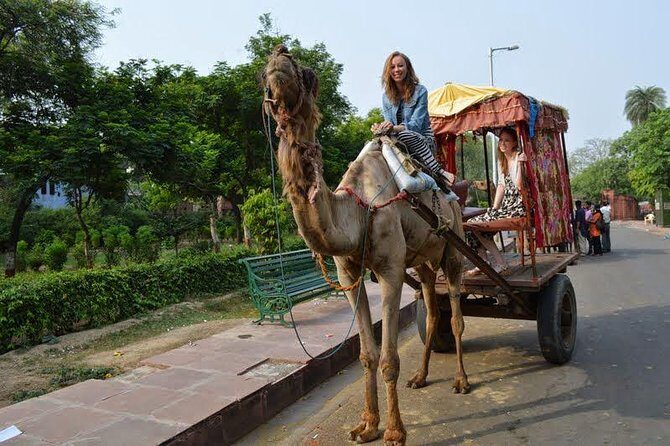 1Night & 2Days Agra & Jaipur Transportation with local guiding experience - Transportation and Flexibility