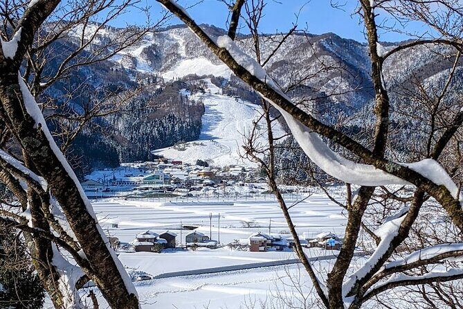 1Night and 2Days Trip to Kinosaki Onsen and Temple - FAQ