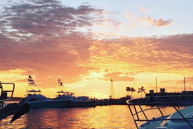 2.10 Hour Sunset Tour on Catamaran in Cabo San Lucas - Who Will Love This Tour?