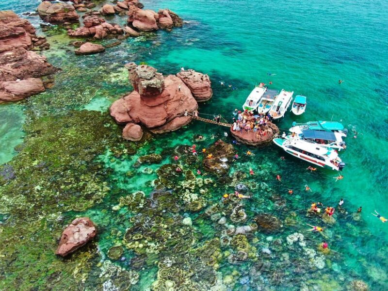 2-3 hours of Private Snorkeling Trip in South of Phu Quoc - FAQ